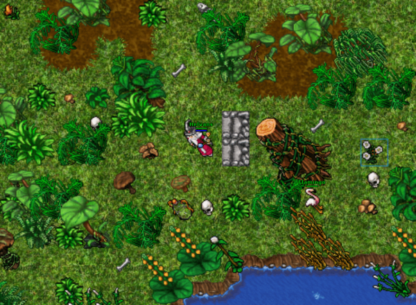 Hydra Egg Quest - TibiaPedia