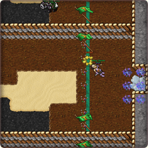 Orcsoberfest Guía - TibiaPedia