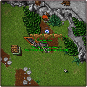 Orcsoberfest Guía - TibiaPedia