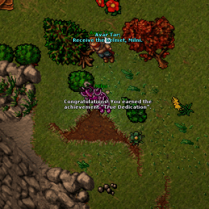 Demon Oak Quest - TibiaPedia